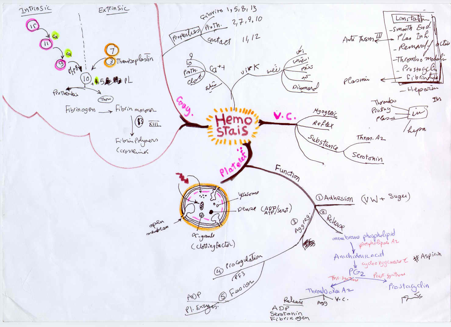 Medical students mastering Mindmaps | Dr Khairy